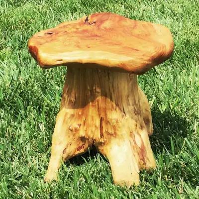 Mushroom Garden Stool 2025 Buyers Guide | Overview of Prices